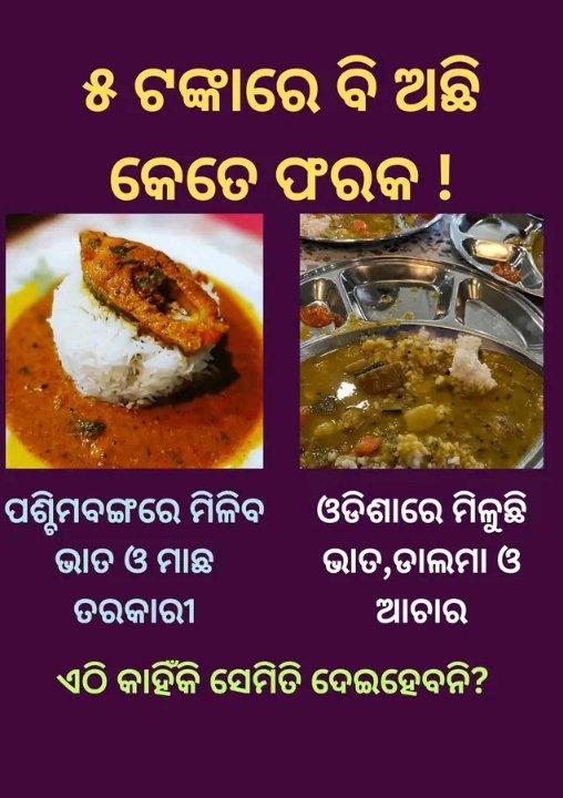 Haldi ସମ୍ବାଦ Live | Haldi News In Odia | Haldi ସମ୍ବାଦ Today | Haldi ...