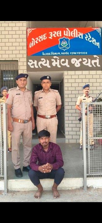 Wadi ના તાજા સમાચાર આજના | Wadi News In Gujarati | Wadi ના તાજા સમાચાર ...