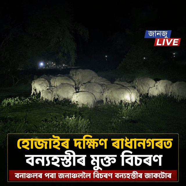 Sukan Pukhuri আজিৰ খবৰ | Sukan Pukhuri News In Assamese | Sukan Pukhuri ...