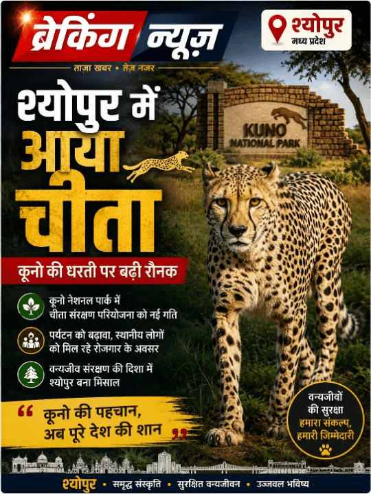 Sheopur न्यूज़ लाइव Today | Sheopur News In Hindi | Sheopur: न्यूज़ ...