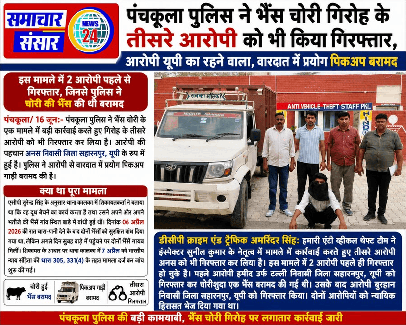 Kathal न्यूज़ लाइव Today | Kathal News In Hindi | Kathal: न्यूज़ टुडे ...