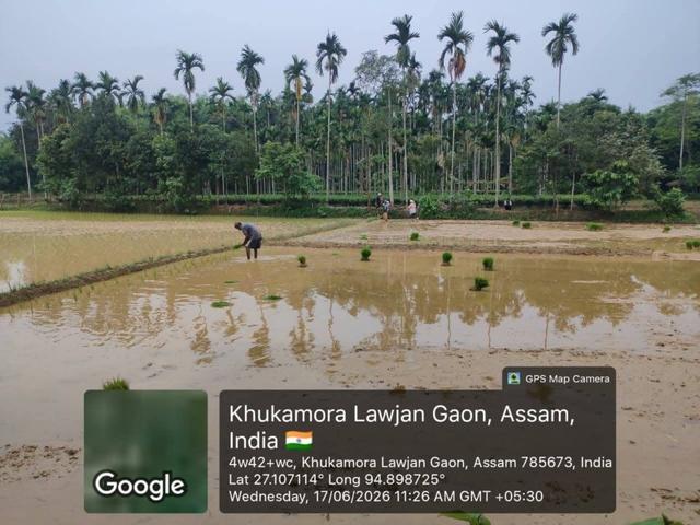 Simaluguri Gaon আজিৰ খবৰ | Simaluguri Gaon News In Assamese ...
