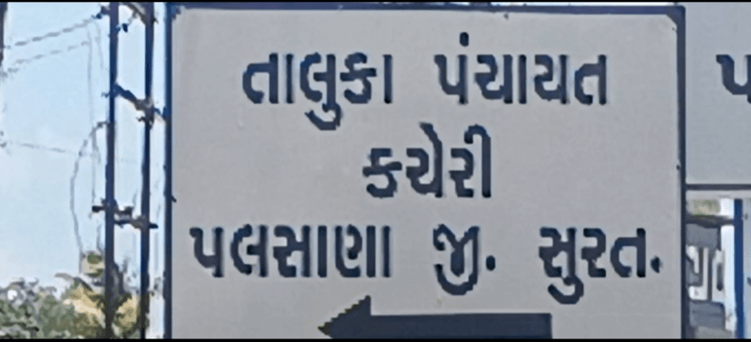 Muli ના તાજા સમાચાર આજના | Muli News In Gujarati | Muli ના તાજા સમાચાર ...