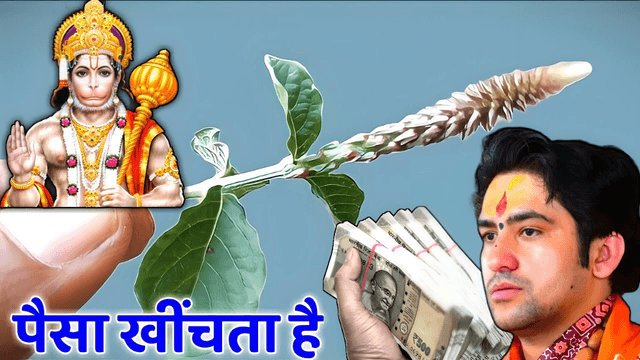 Mashrakh न्यूज़ लाइव Today | Mashrakh News In Hindi | Mashrakh: न्यूज़ ...