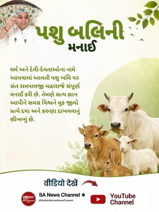 Navsari ના તાજા સમાચાર આજના | Navsari News In Gujarati | Navsari ના ...
