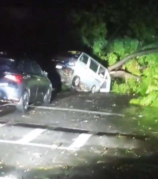 Yercaud செய்திகள் | Yercaud News In Tamil | Yercaud செய்திகள் today ...